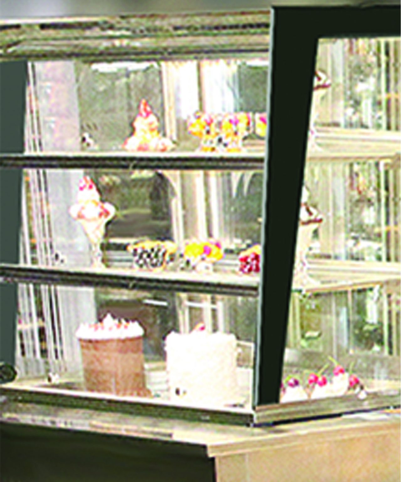 Slanted Flip-Up Doors - RPI Industries