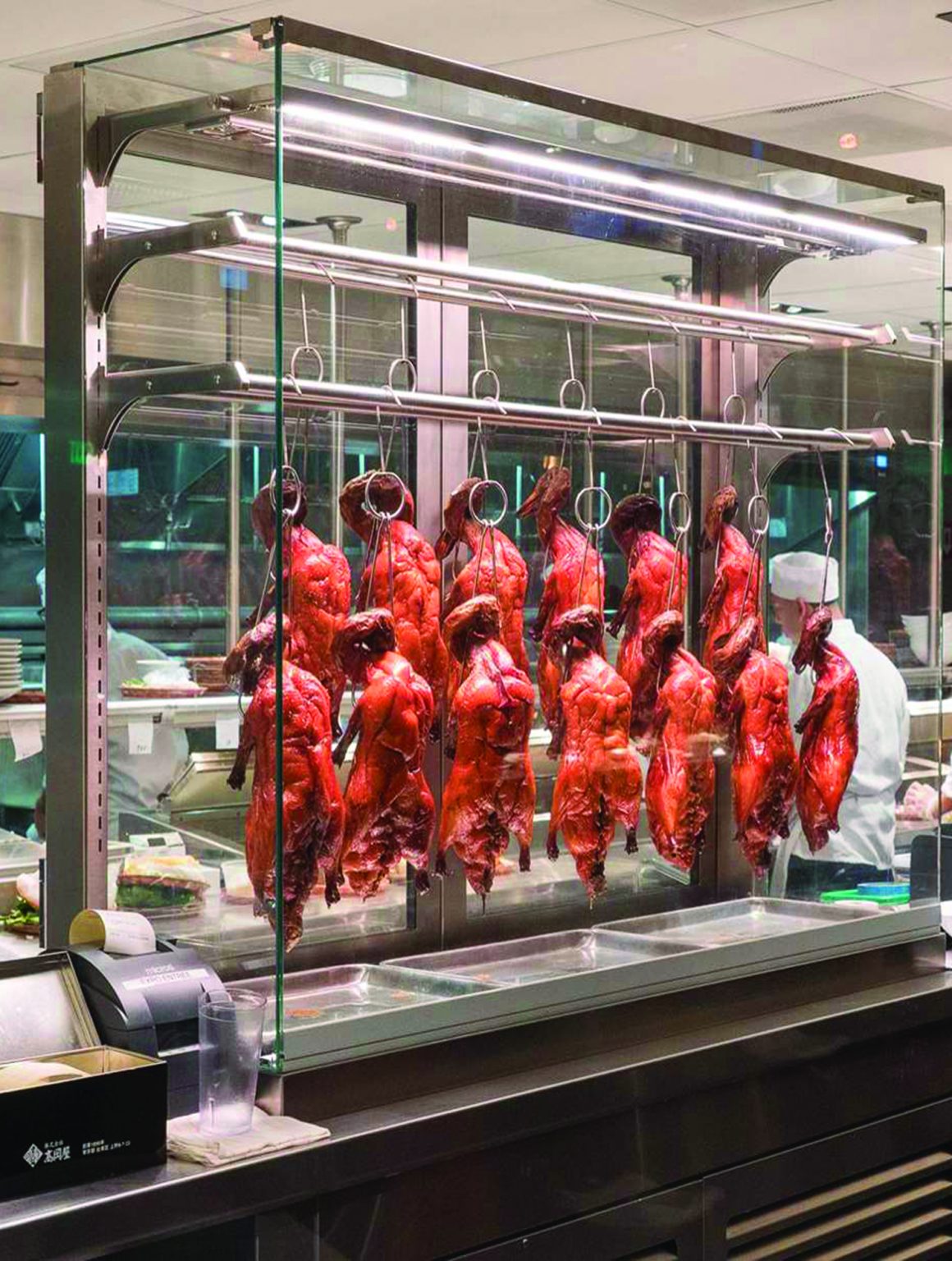 Heated Duck Display - RPI Industries